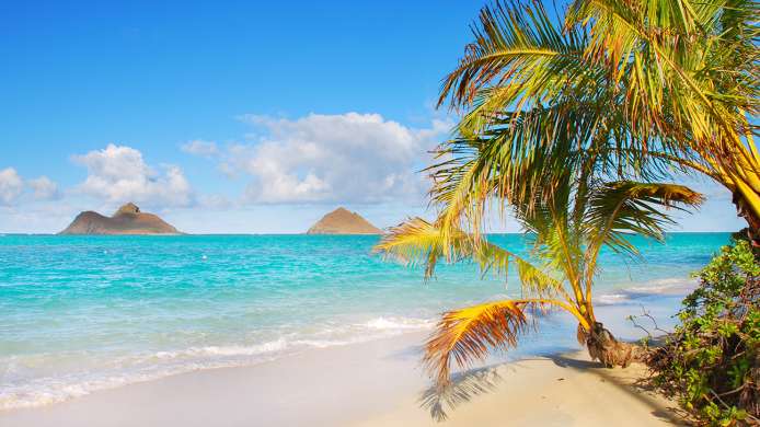 Las 14 playas más bellas de Hawái | Costa Cruceros