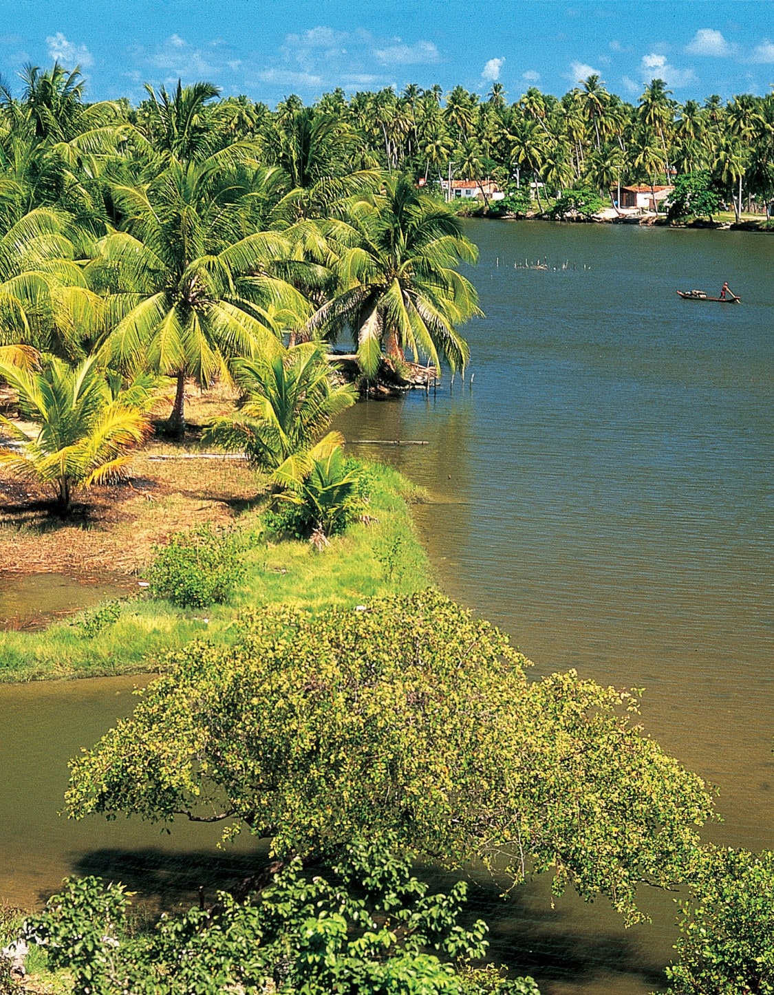 Crucero Maceió: itinerarios y ofertas | Costa Cruceros